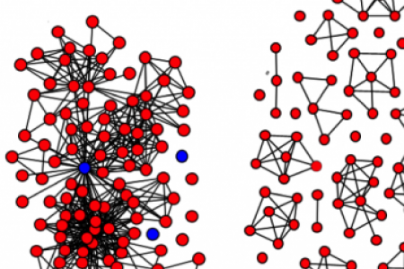 Dynamical networks | Tarnita Lab @ Princeton